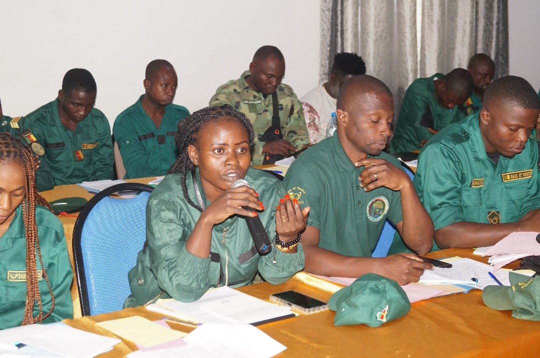 Cameroun : WWF et le MINFOF se concertent pour une meilleure efficacité ...